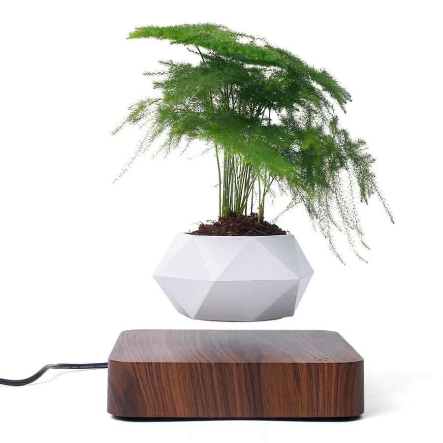 Jual Home Desk Decoration Magnetic Levitation Floating Potted