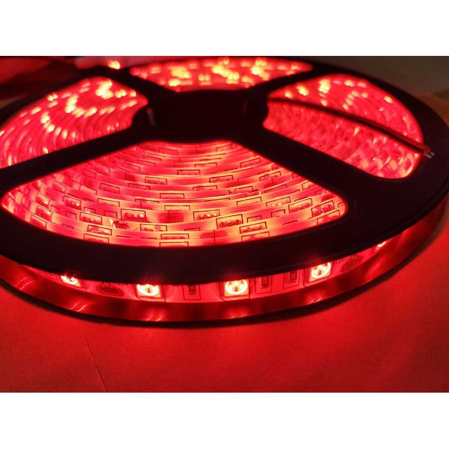 Jual 24V DC cahaya MERAH Flex Led Strip 5050 SMD waterproof 5