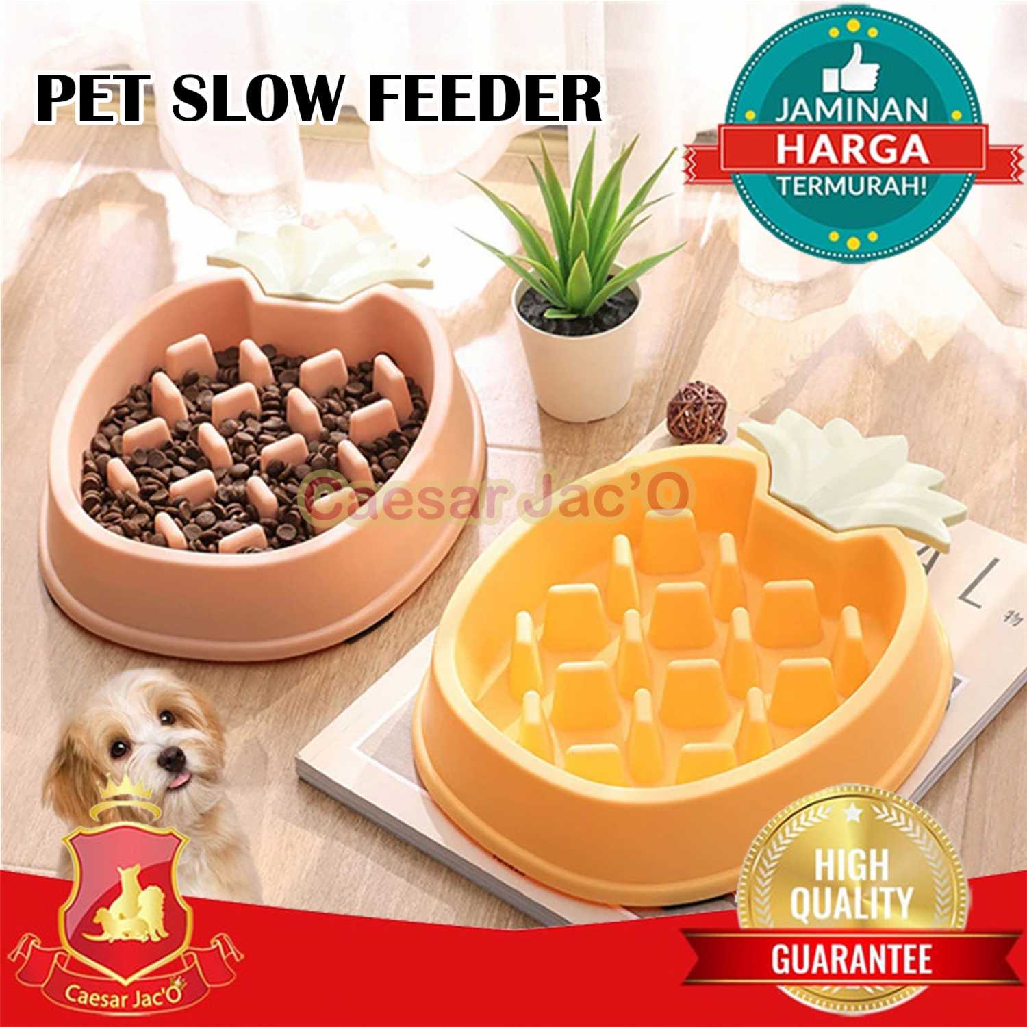 Jual Tempat Makan Anjing Kucing Nanas / Pet Blow Slow Fedeer