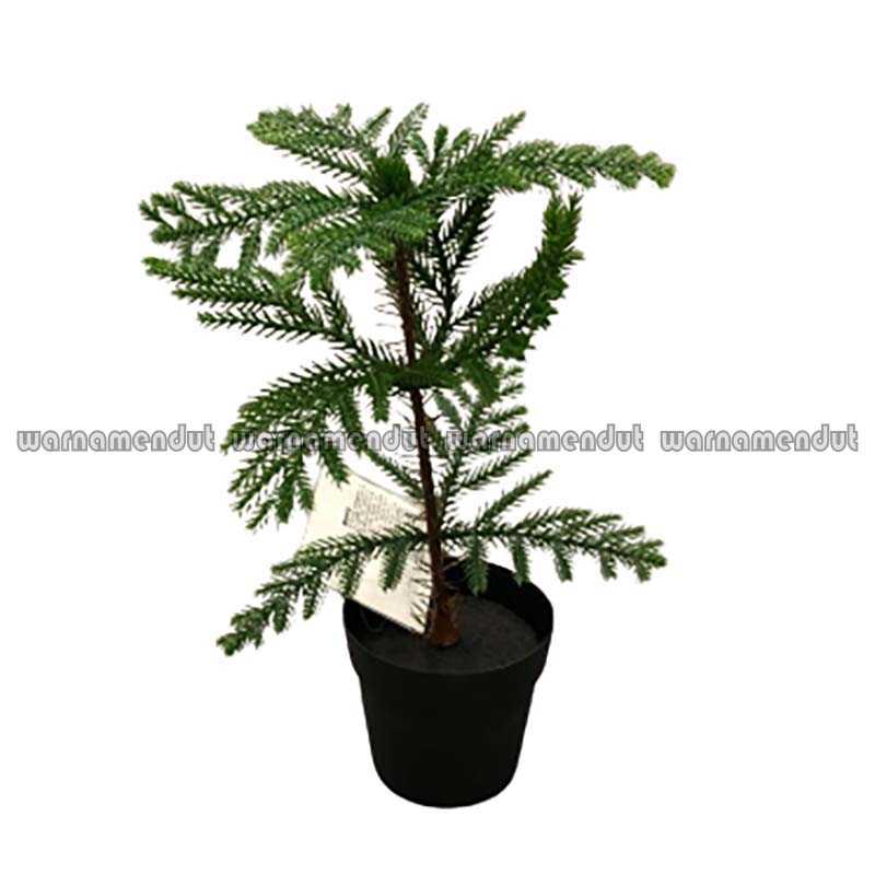 Jual Tanaman hias artificial dlm pot pinus norfolk diameter 9cm