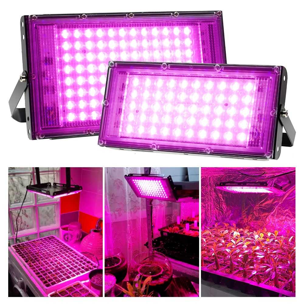 Jual GRAXIDEA Grow Light LED Hidroponik Full Spectrum 2835 SMD