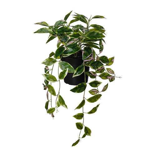 Jual Tanaman artificial hoya kerrii dalam pot digantung dia15cm