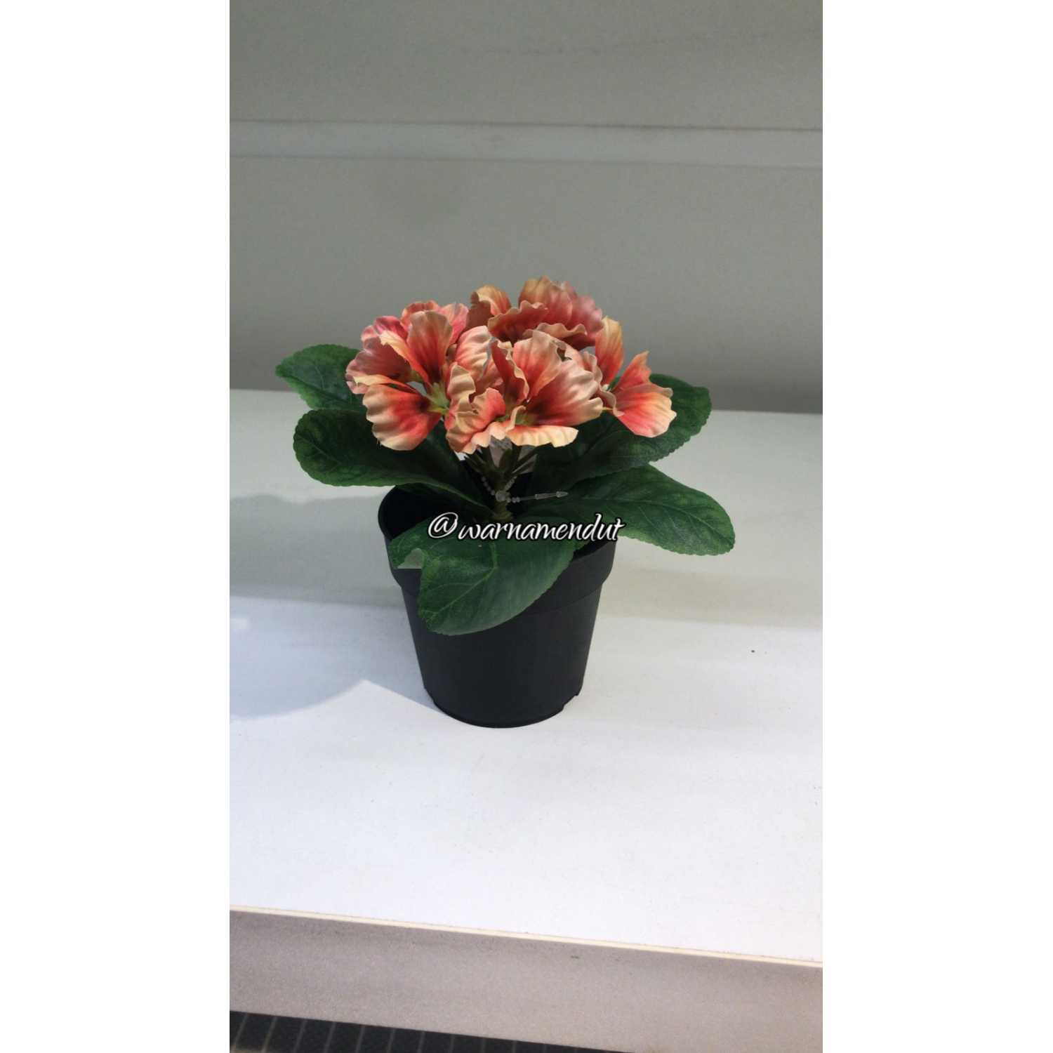 Jual Tanaman artificial bunga primula orange dalam pot 9cm WMO
