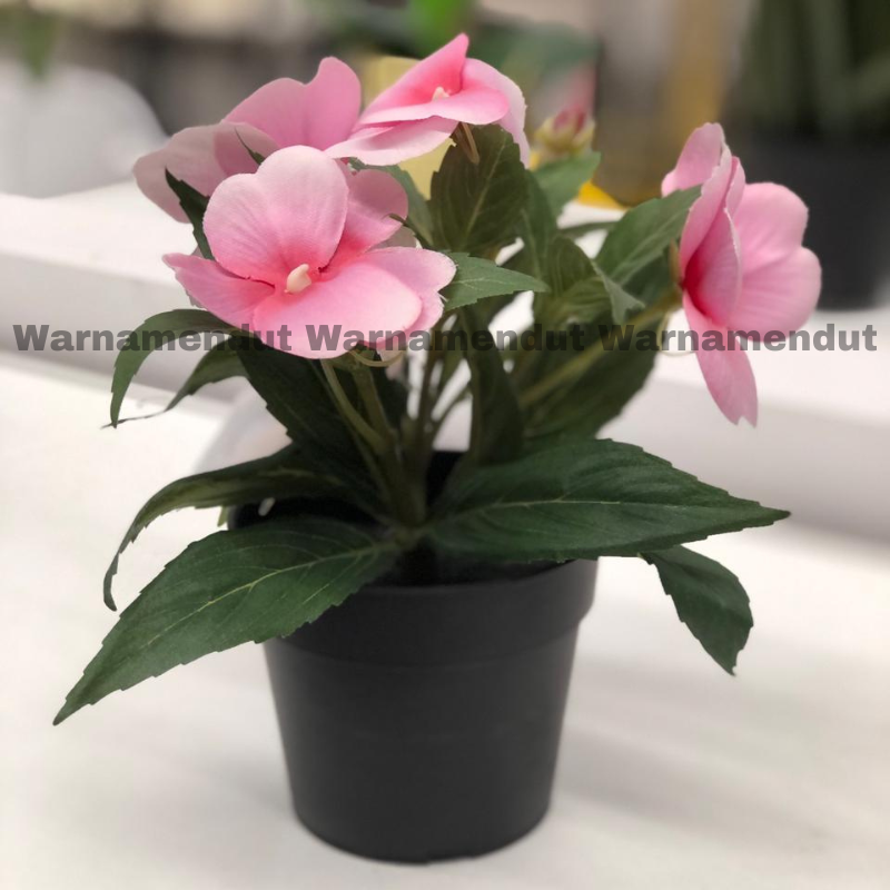 Jual Tanaman Tiruan Dlm Pot Jenis Bunga Pacar Air diameter 9cm