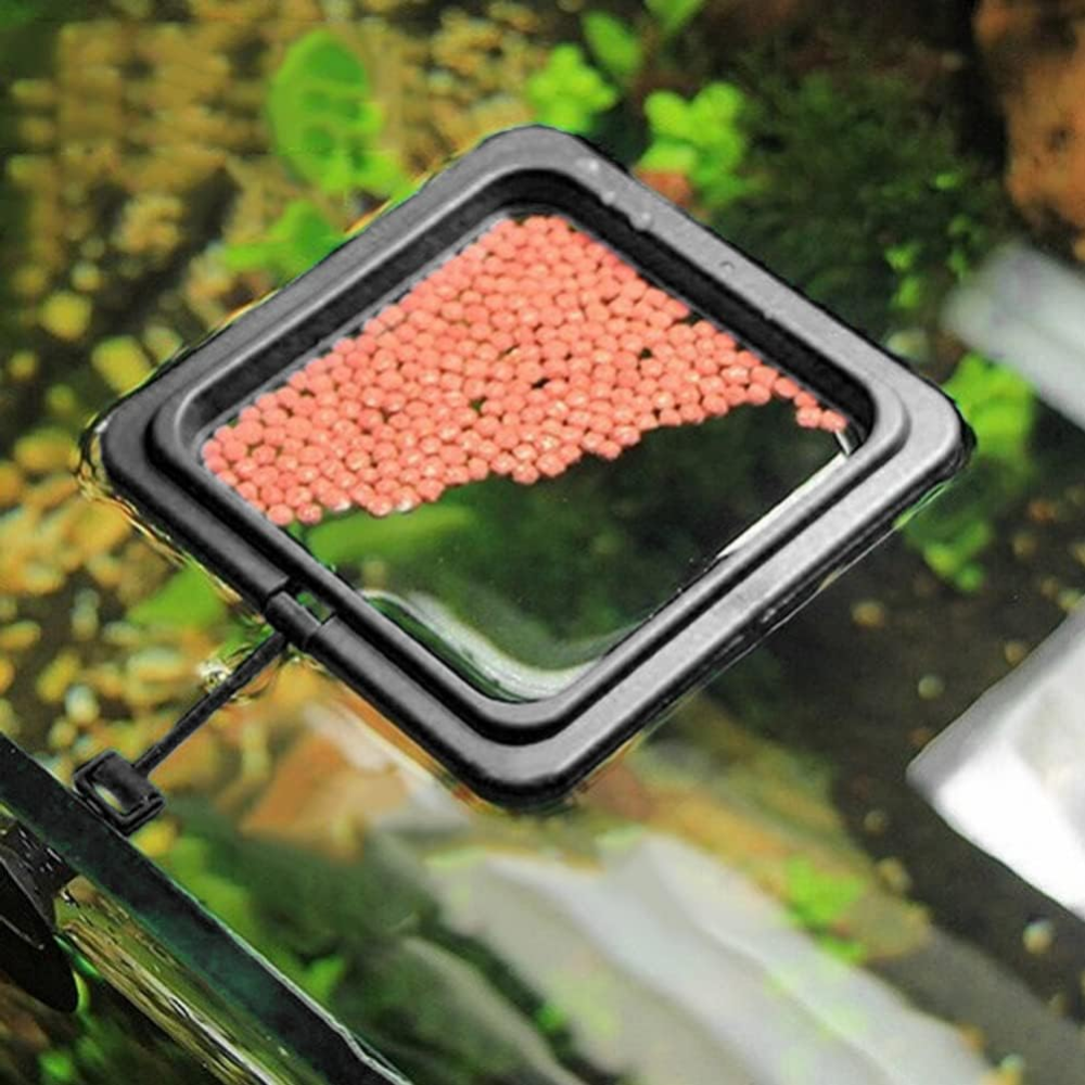 Jual Aifeier Tempat Makan Ikan Aquarium Fish Feeding Ring