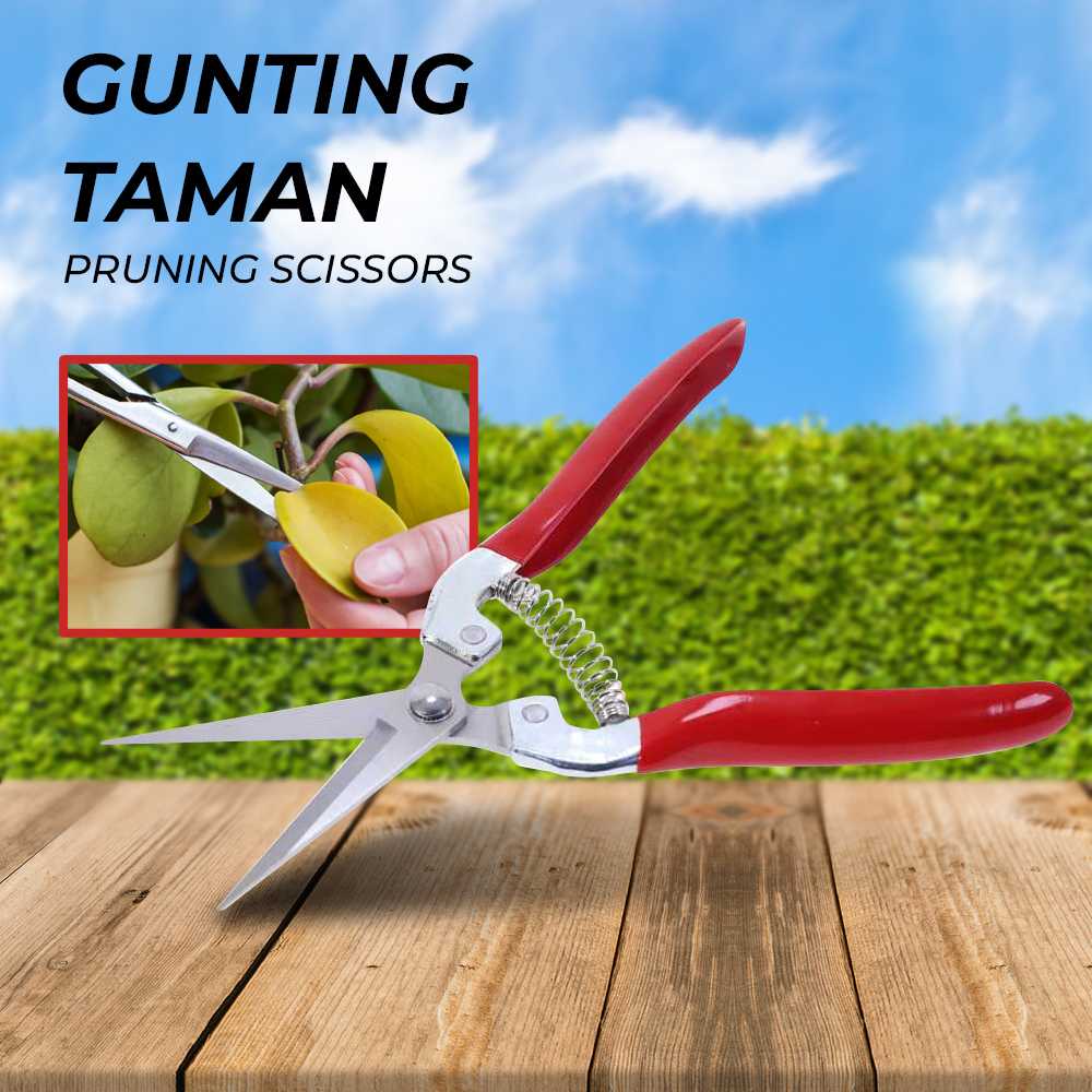 Jual QIAOEN Gunting Tanaman Ranting Bunga Stainless Steel