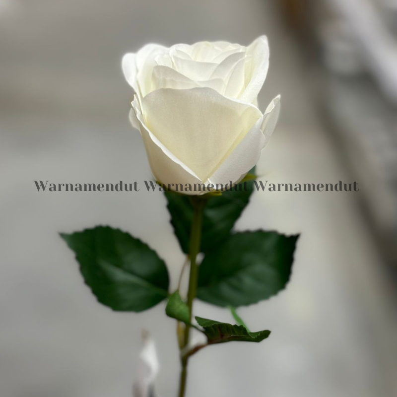Jual Bunga Mawar Hias Plastik Tiruan Tinggi 40cm Aneka Warna WMO