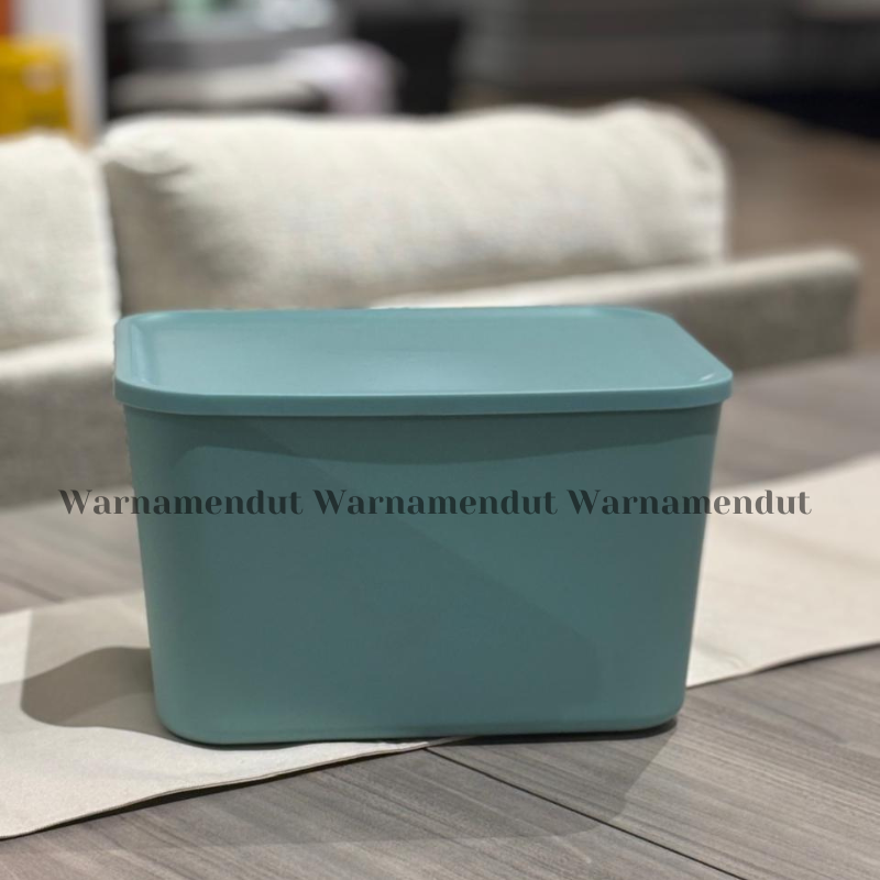Jual Kotak Penyimpanan Organiser Storage Box Dg Penutup 15L WMO