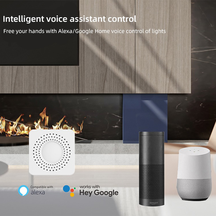 Jual LY Mini Smart Switch WiFi 2 Channel Tuya Alexa Control