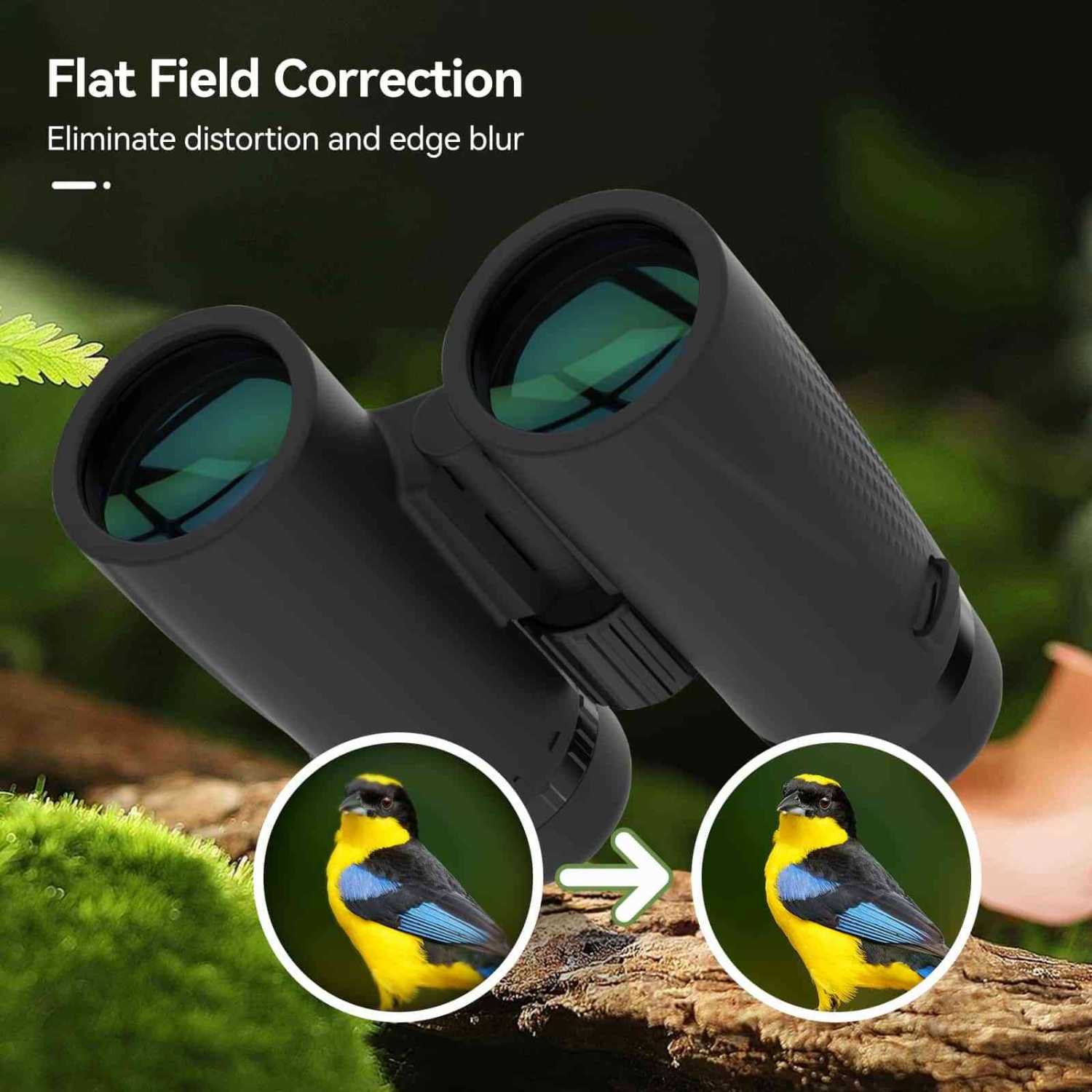 Jual SVBONY Teropong Binocular ED Lens BAK4 Fully Multi Coated