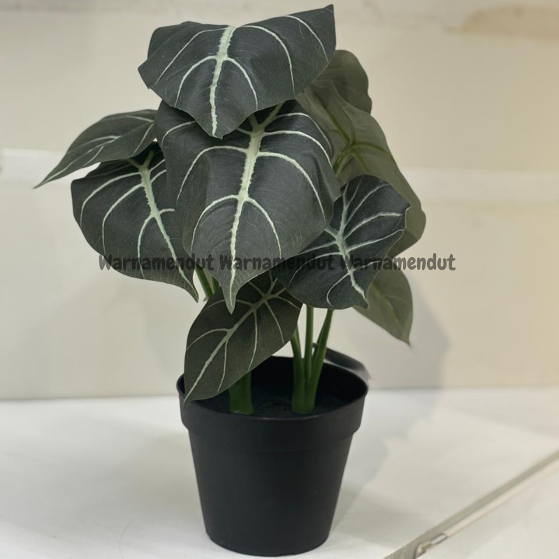 Jual Tanaman Hias Artificial Model Alocasia Dalam Pot Dia 12cm